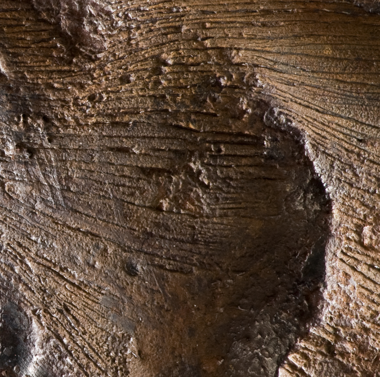 Meteorite characteristics – Buseck Center for Meteorite Studies