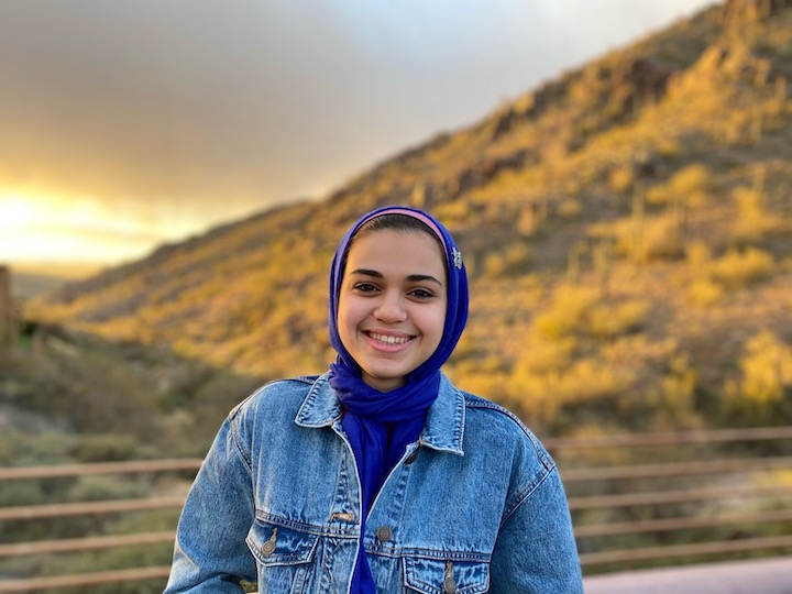 Student Research – fine-grained chondrule rims in Mighei-like ...