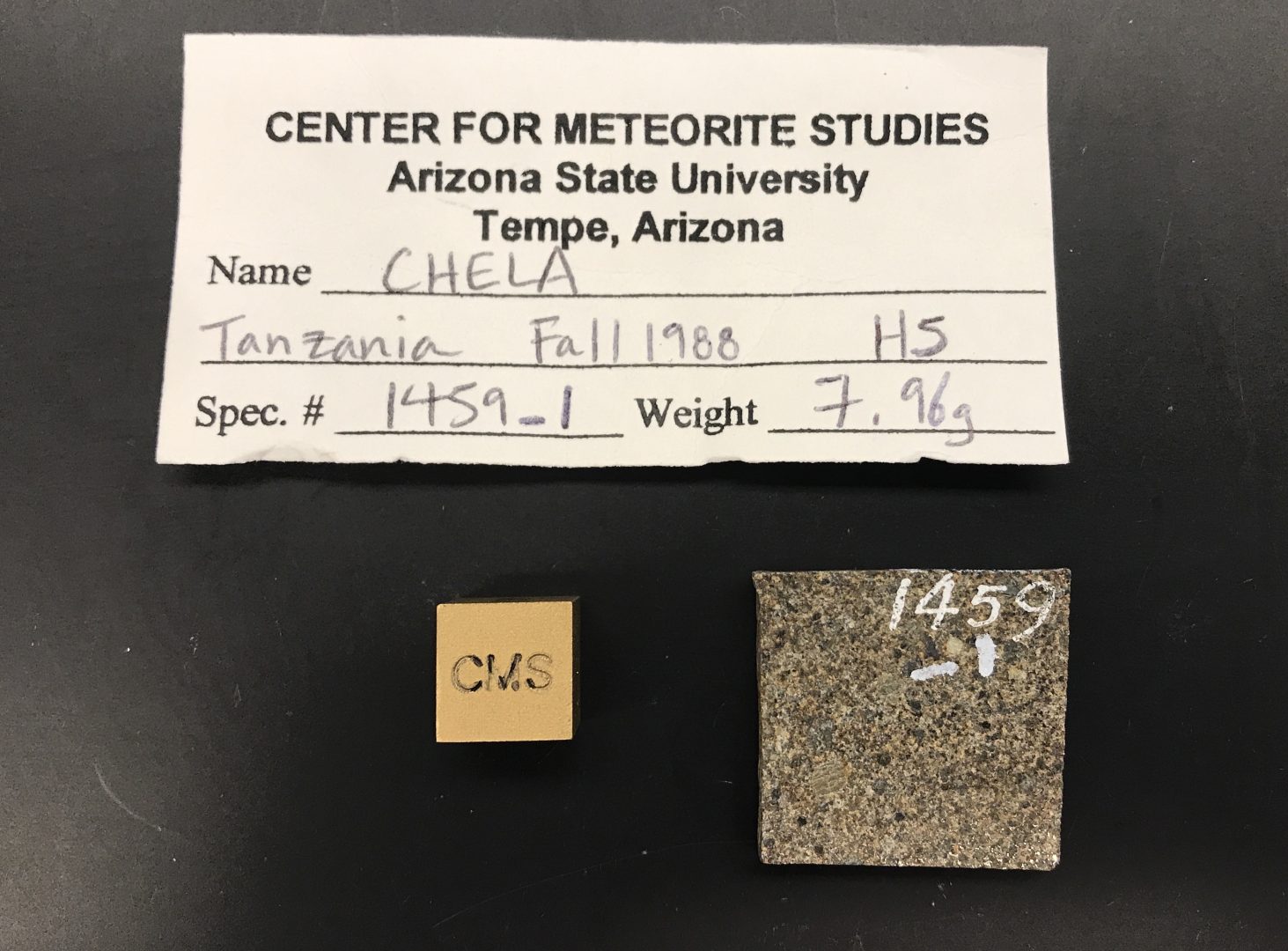 Chela – Buseck Center for Meteorite Studies