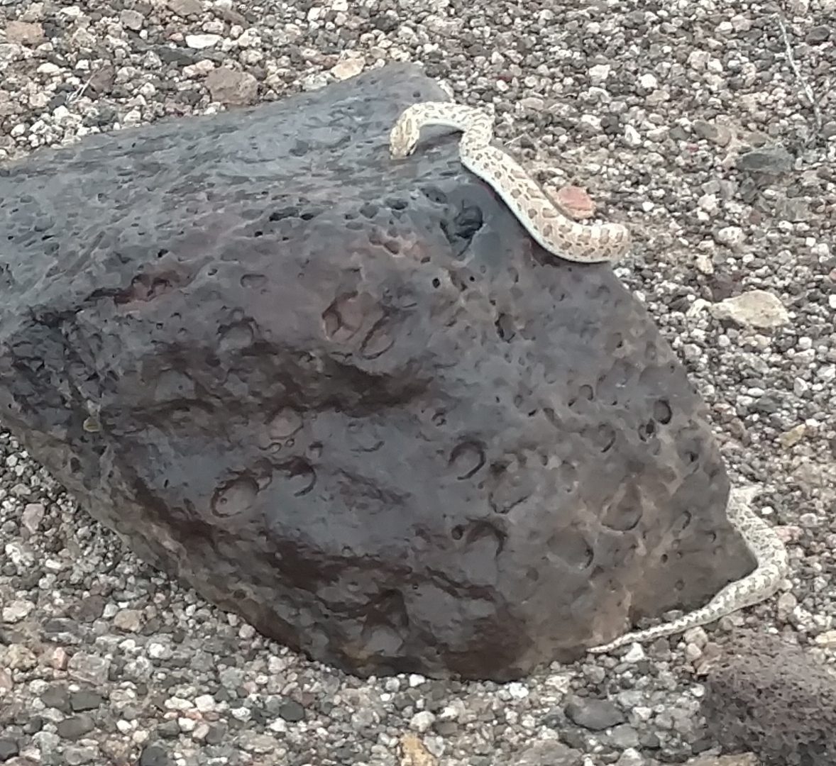 Meteorite hunting in Franconia, AZ – Buseck Center for Meteorite Studies