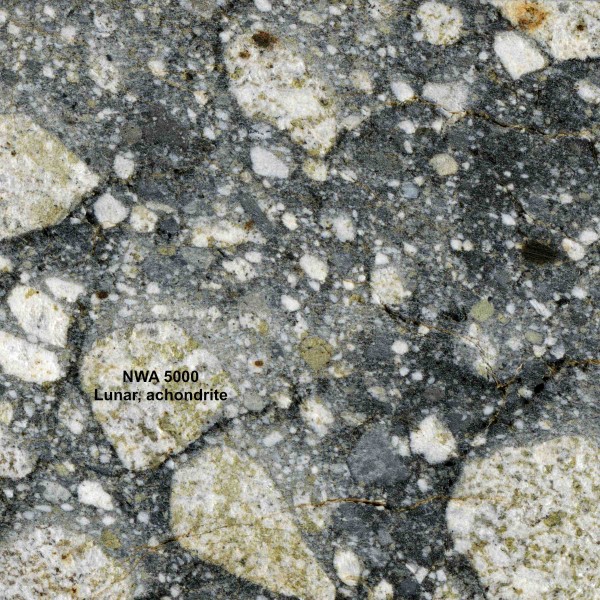 NWA 5000 – Buseck Center for Meteorite Studies